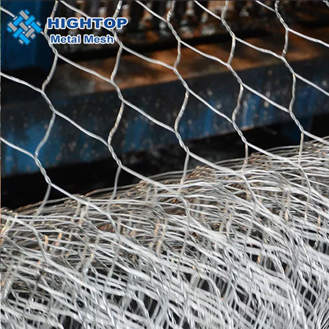 Iron Small Hole Chicken Wire Mesh - Hightop Metal Mesh